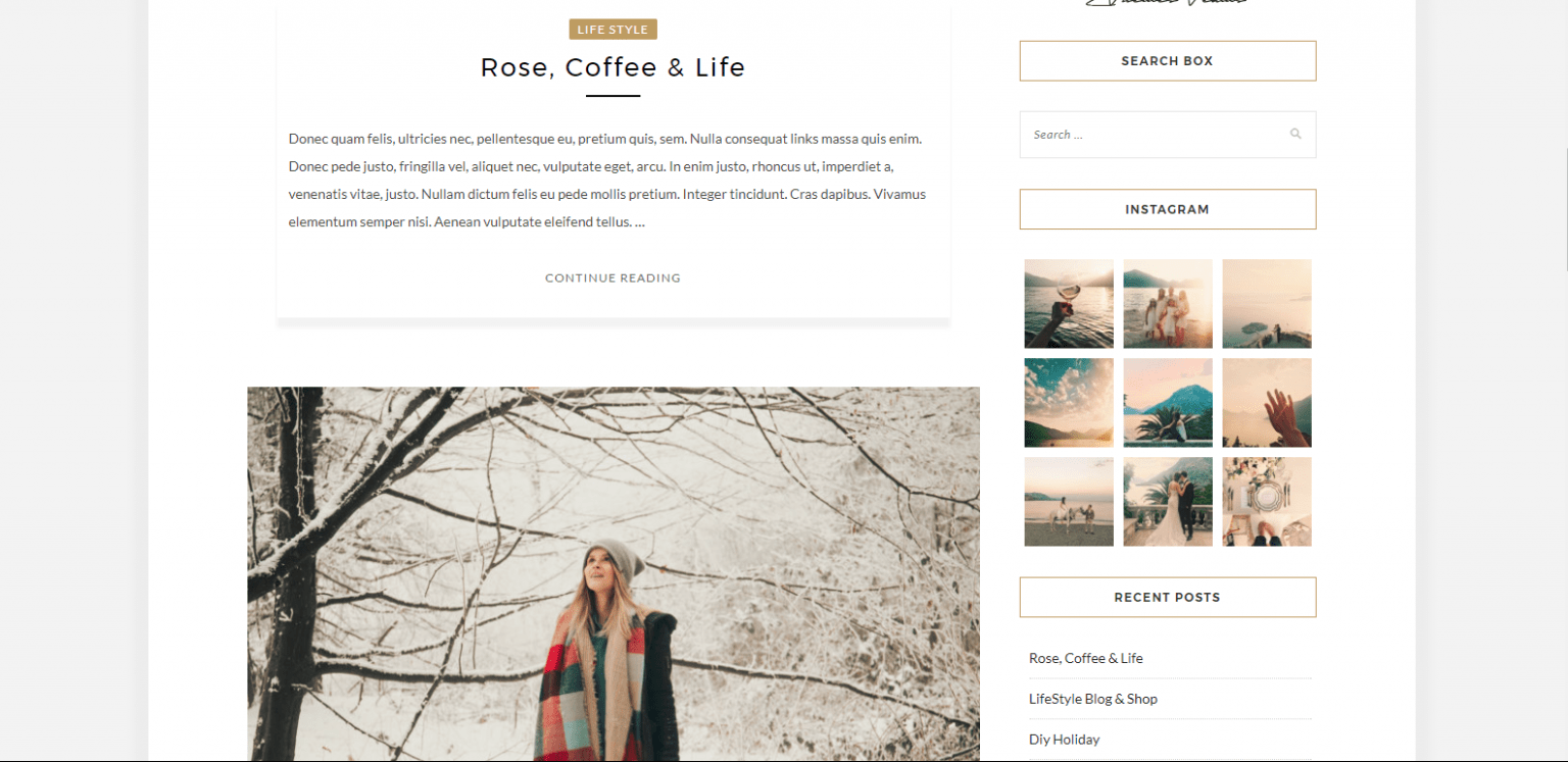 WordPress博客主题：Kokoro_JOYTHEME
